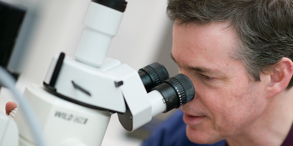 Our people - the Women's Pregnancy Research Centre | The Royal Women's ...